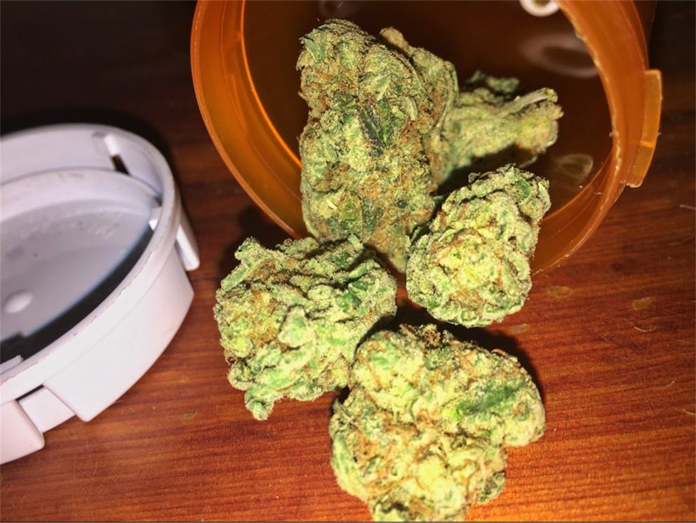 Photos of Loud Scout Weed Strain Buds | Leafly