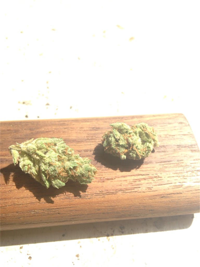 Loud Scout Weed Strain Information | Leafly