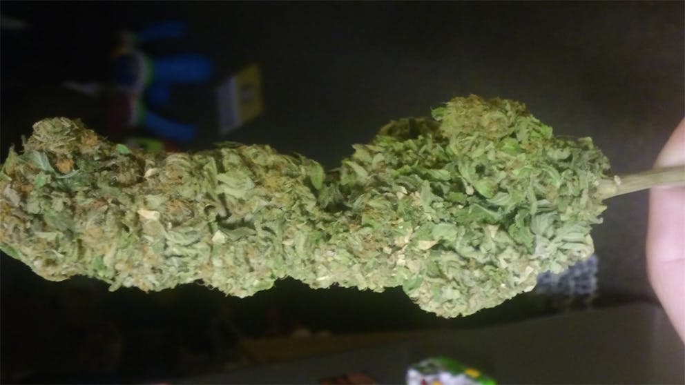 Photos of LSD Weed Strain Buds | Leafly