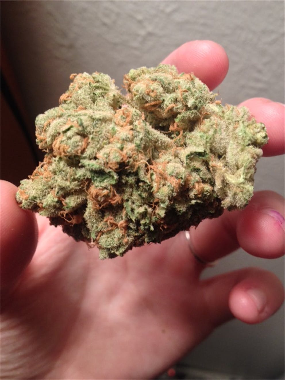 Photos of Lucky Charms Weed Strain Buds | Leafly