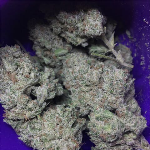 Bodhi's Charms aka LC, Lucky Charms, Lucky Charm Weed Strain ...