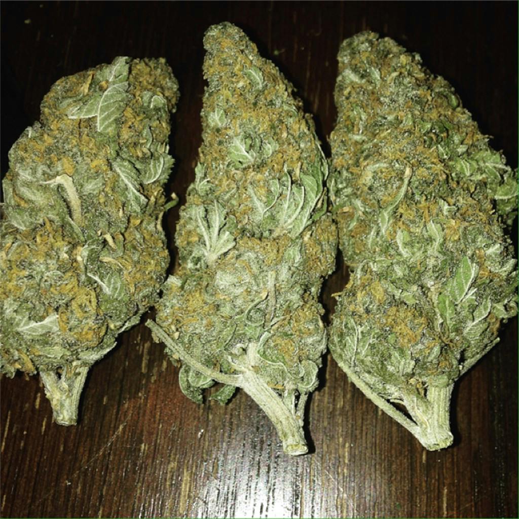 M-39 aka M39 Weed Strain Information | Leafly