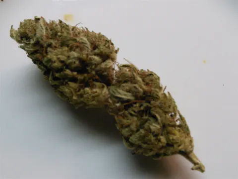 Mad Dawg aka Mad Dog Weed Strain Information | Leafly