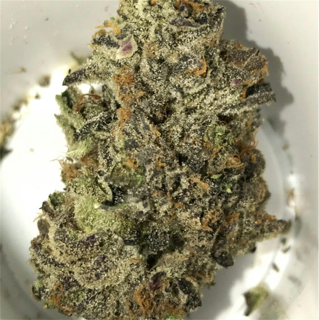 Magnificent Mile Weed Strain Information | Leafly