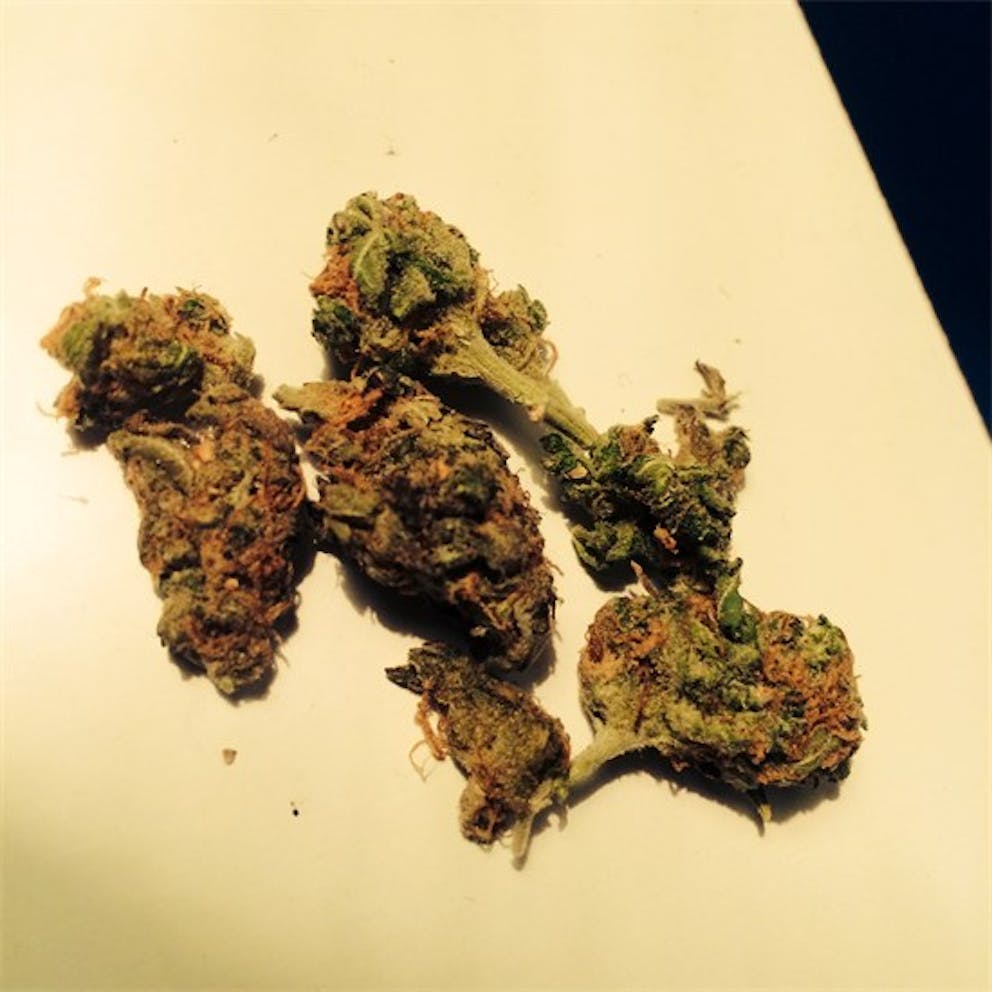 Photos of Mango Dream Weed Strain Buds | Leafly