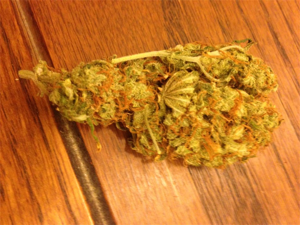 Photos of Mango Dream Weed Strain Buds | Leafly