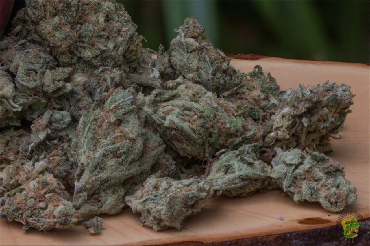 Photos of Mango Kush Weed Strain Buds | Leafly