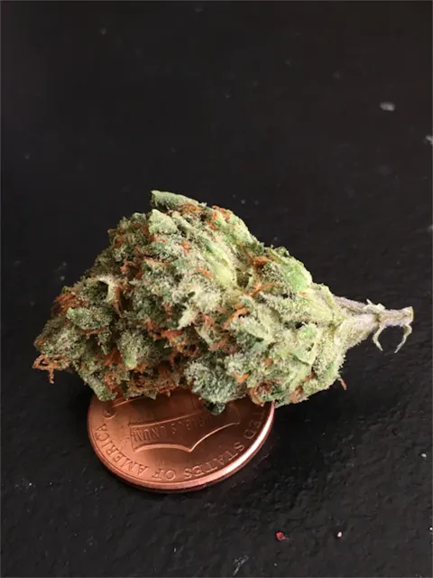 Mango Tango Weed Strain Information | Leafly