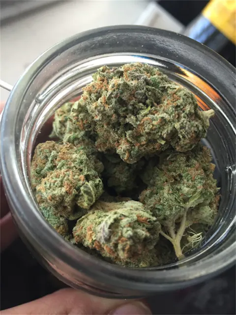 Mango Tango Weed Strain Information | Leafly