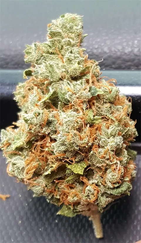 Mango Tango Weed Strain Information | Leafly