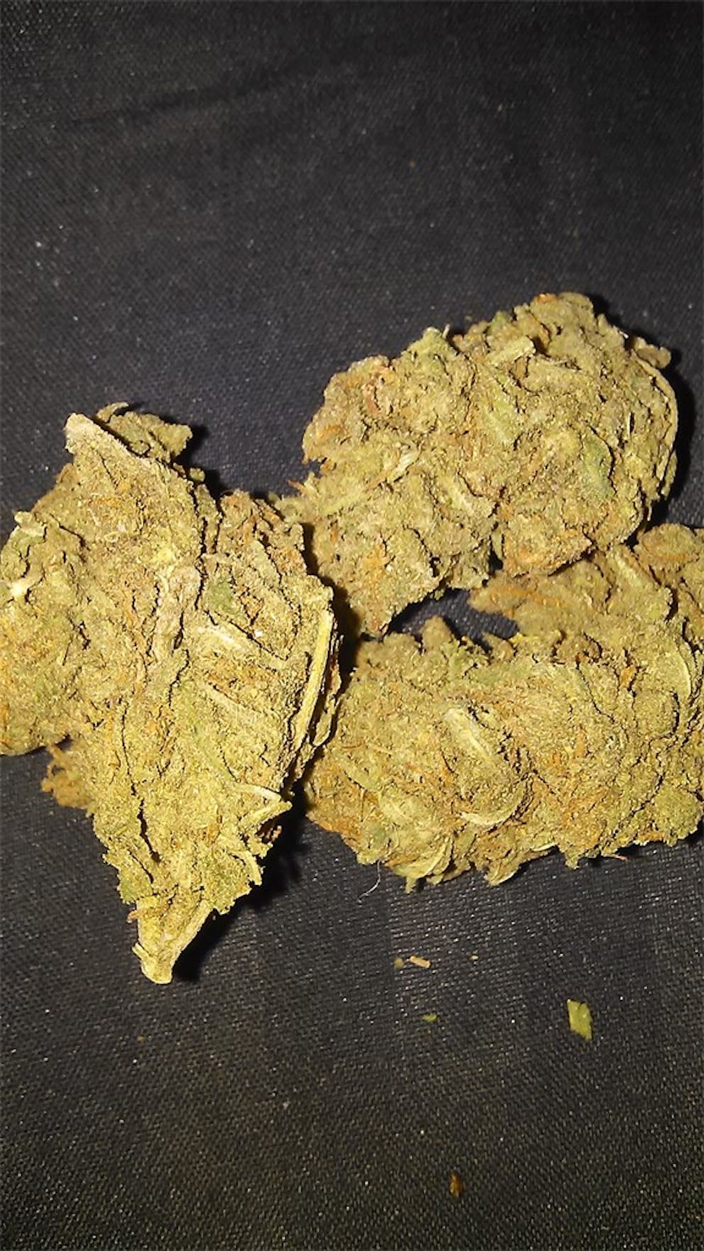 Photos of Mango Tango Weed Strain Buds | Leafly