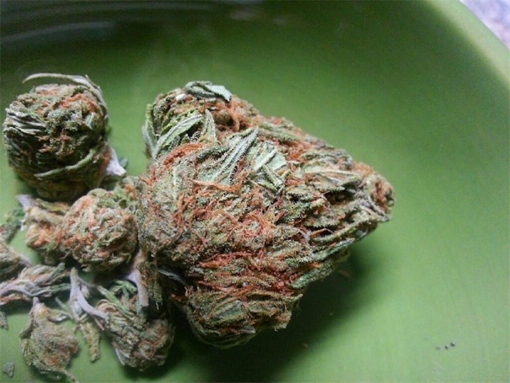 Photos of Mars OG Weed Strain Buds | Leafly