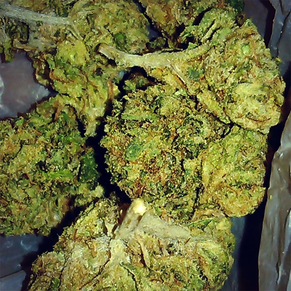 Photos of Mars OG Weed Strain Buds | Leafly