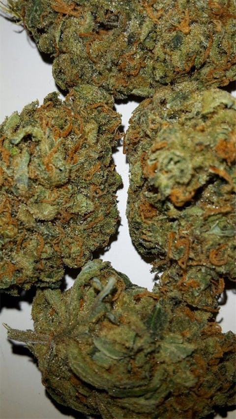 Master Kush aka High Rise, Grandmaster Kush, Purple SoCal Master Kush ...