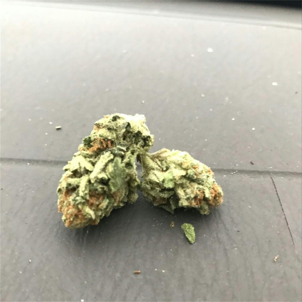 Master Kush aka High Rise, Grandmaster Kush, Purple SoCal Master Kush ...