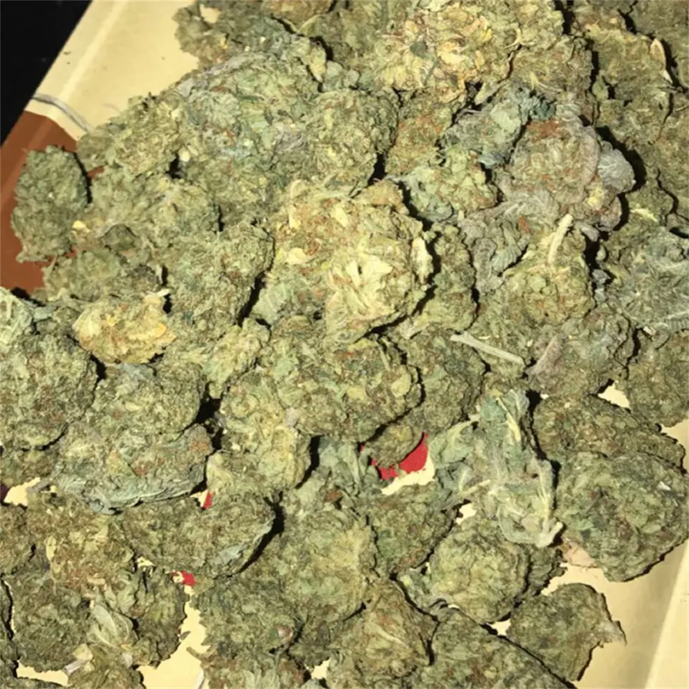 Photos of Master Kush Weed Strain Buds | Leafly