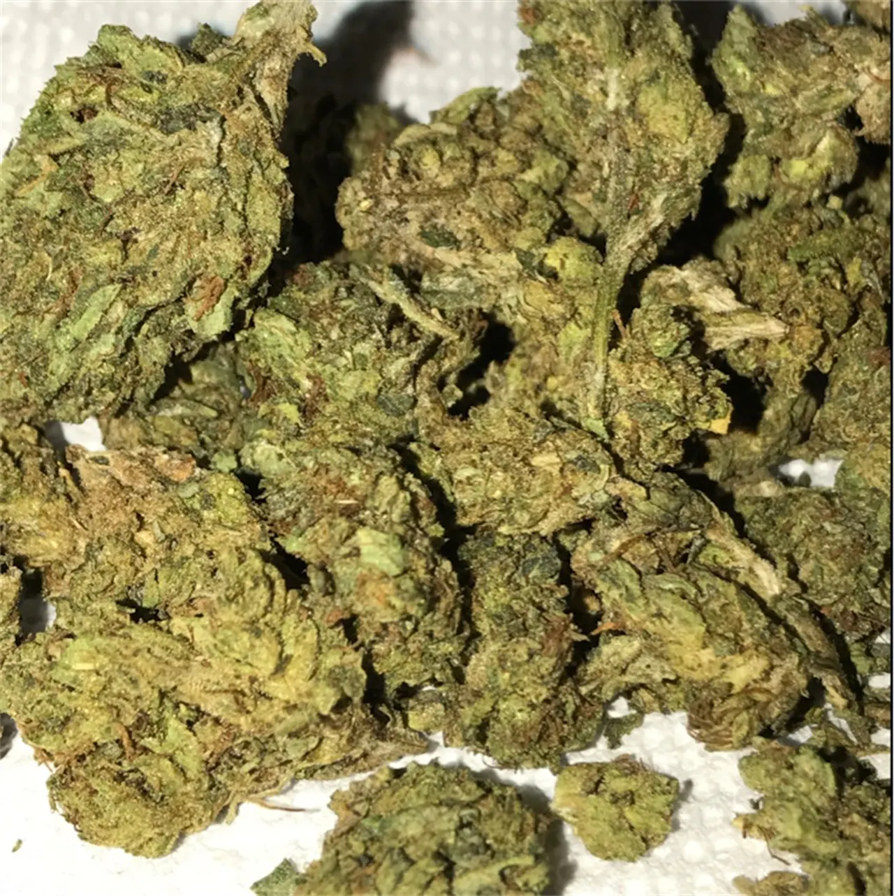 Photos of Maui Wowie Weed Strain Buds | Leafly