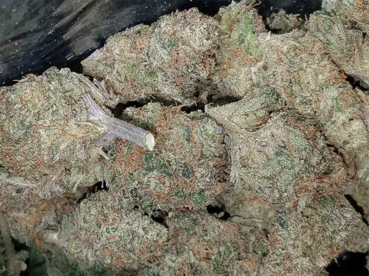 Photos of Maui Wowie Weed Strain Buds | Leafly