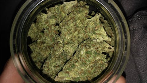 Mazar I Sharif aka Mazar, Maz Weed Strain Information | Leafly