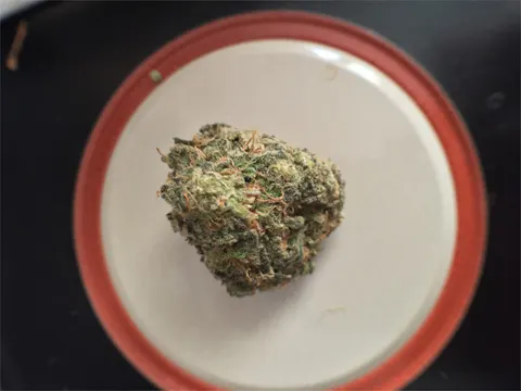 Medicine Man Weed Strain Information | Leafly