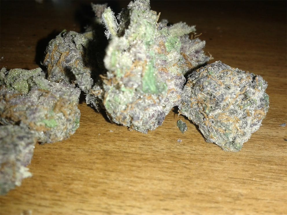 Photos of Mendocino Purps Weed Strain Buds | Leafly