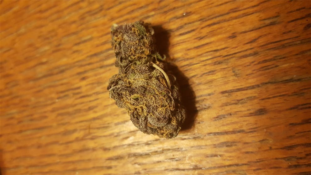 Photos of Mendocino Purps Weed Strain Buds | Leafly