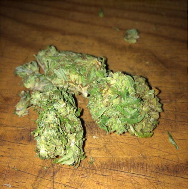 Photos of Mexican Sativa Weed Strain Buds | Leafly