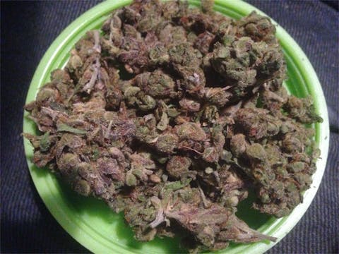 Midnight Weed Strain Information | Leafly