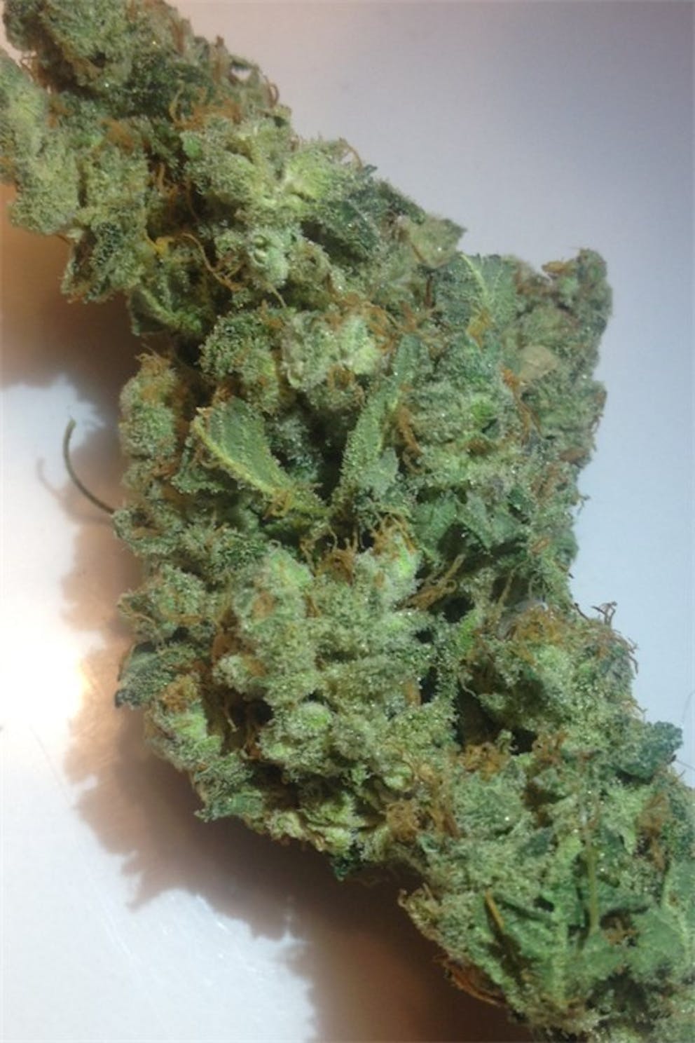 Photos of Misty Kush Weed Strain Buds | Leafly