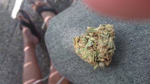 Misty Kush aka Misty Weed Strain Information | Leafly