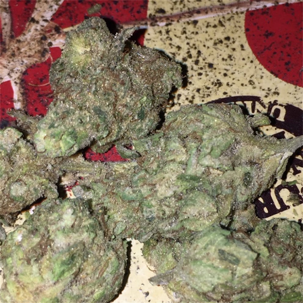 Photos of Mob Boss Weed Strain Buds | Leafly