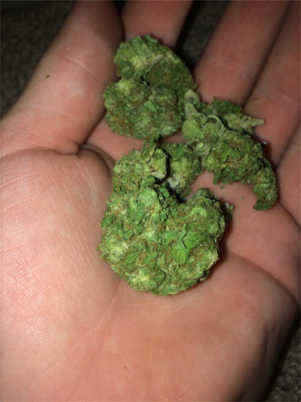 Photos of Monster OG Weed Strain Buds | Leafly