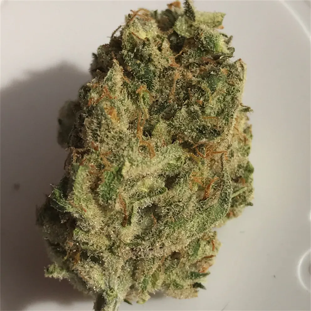 Photos of Moonshine Haze Weed Strain Buds | Leafly
