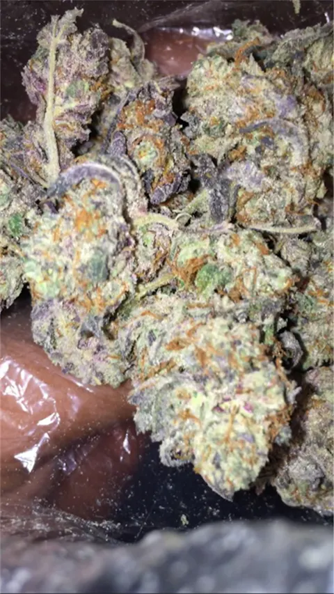 Nepalese aka Nepal, Nepali, Nepali OG Weed Strain Information | Leafly