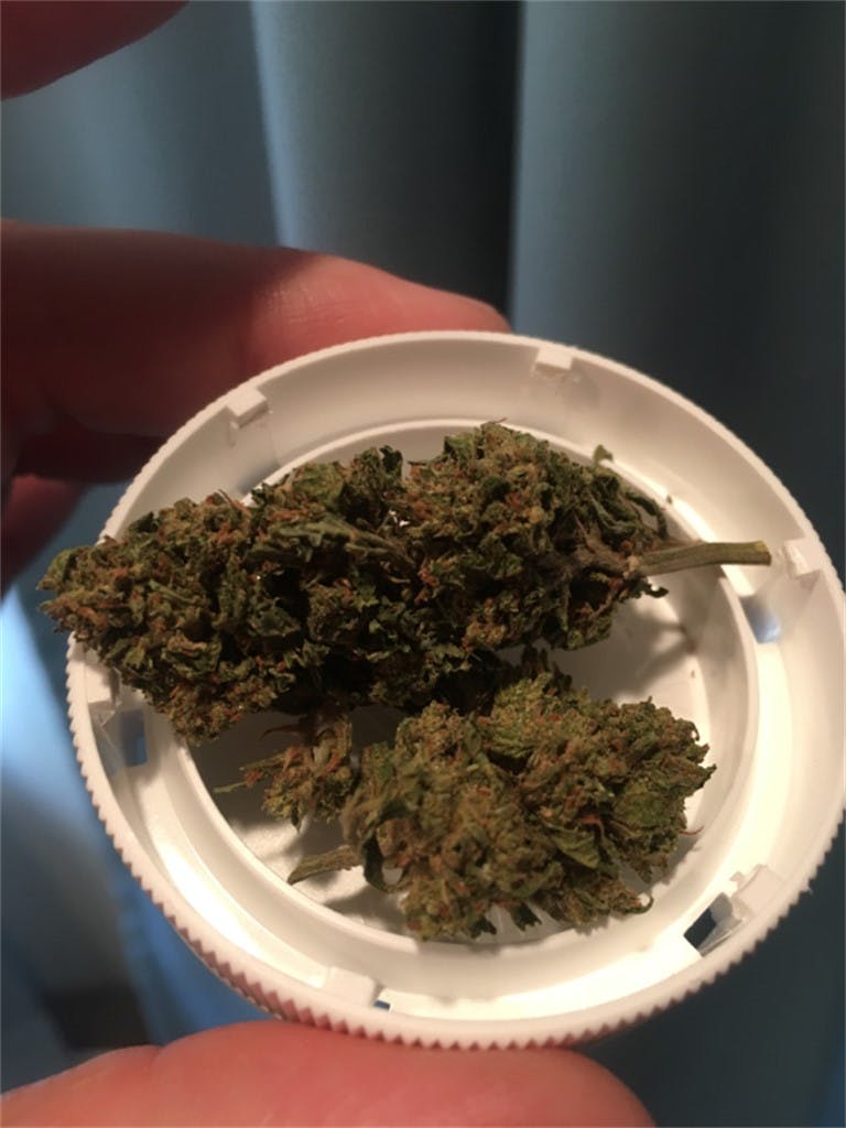 North Indian aka Indian Landrace Weed Strain Information | Leafly