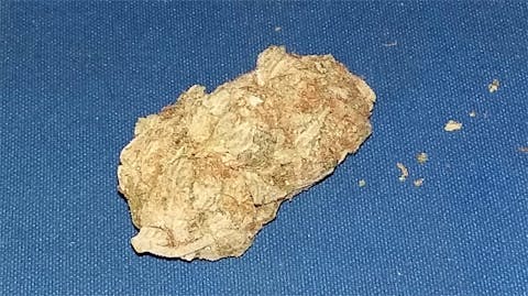 Northern Lights aka NL Weed Strain Information | Leafly