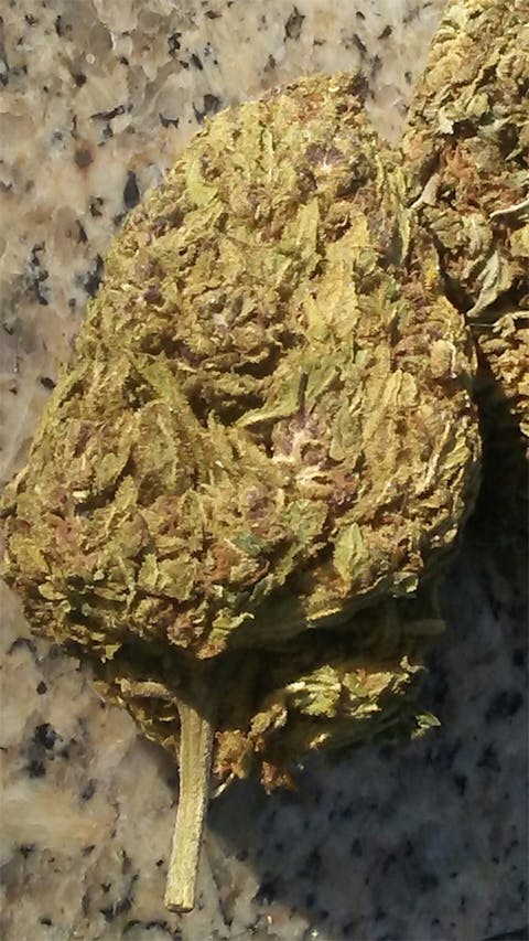 Northern Wreck aka Northern Trainwreck, Northern Lights x Trainwreck ...