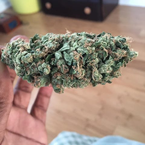 NY Cheese aka New York Cheese Weed Strain Information | Leafly