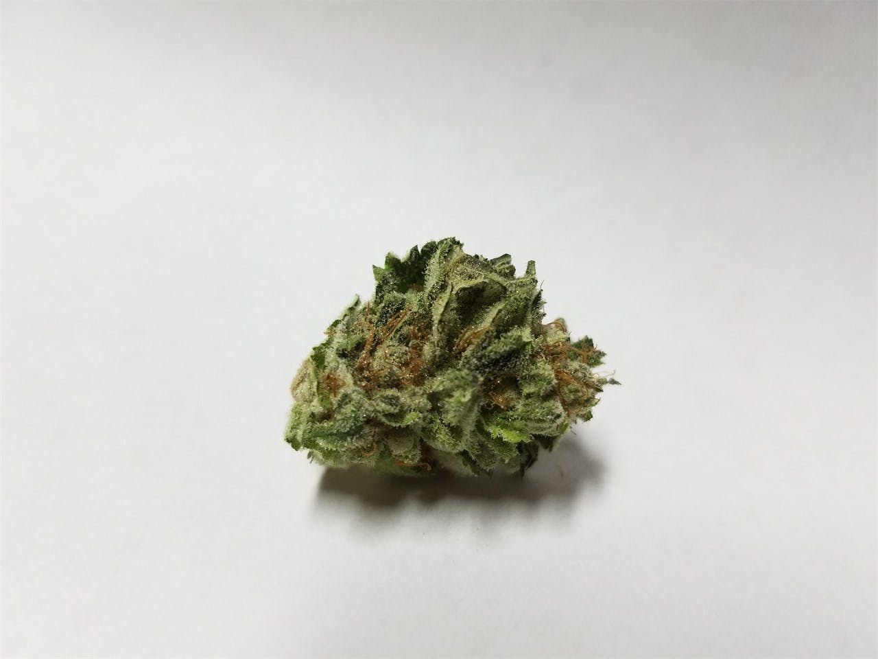 Photos of OG Kush Weed Strain Buds | Leafly