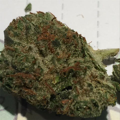 LA Affie aka OG LA Affie, Afghan Bombay Kush Weed Strain Information ...