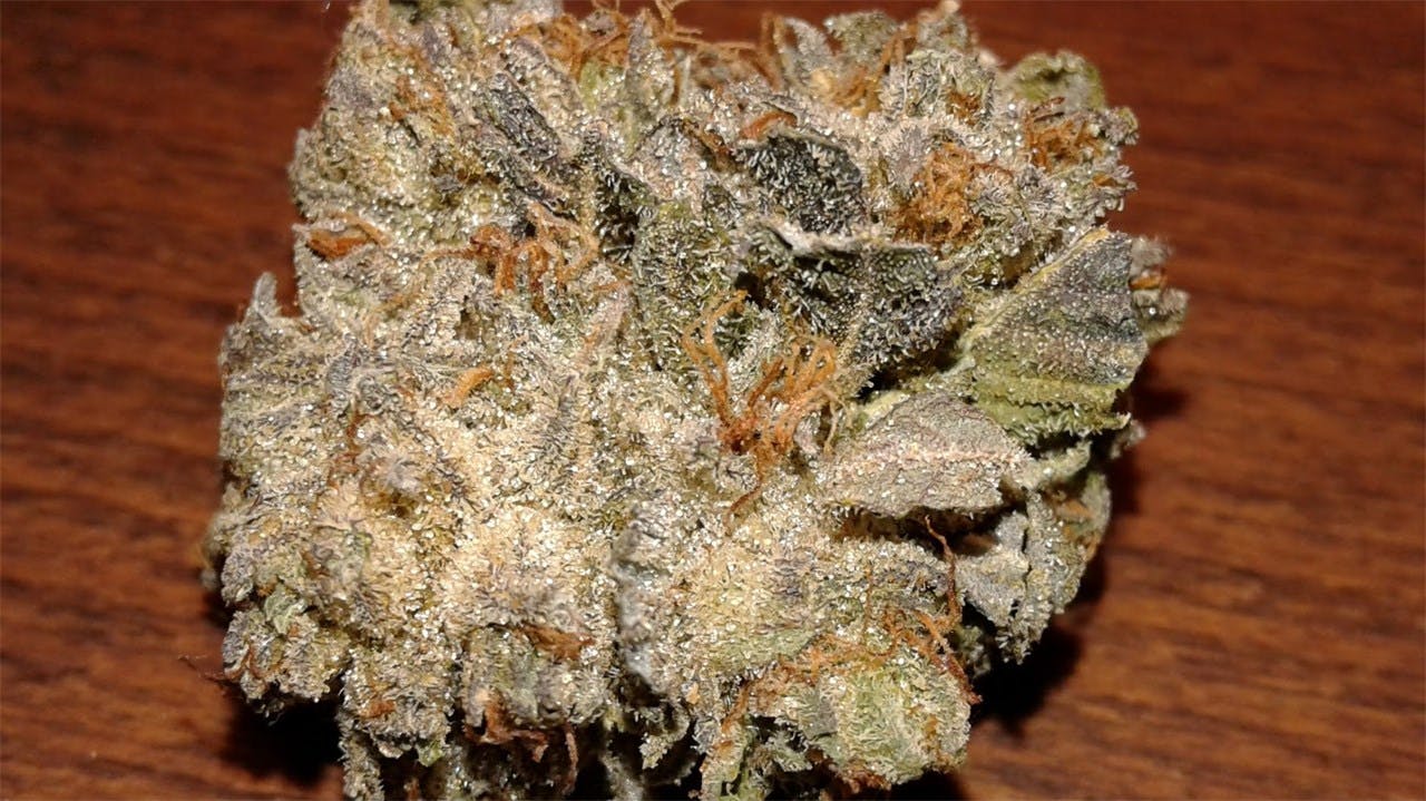 OG Shark aka Shark OG Weed Strain Information | Leafly