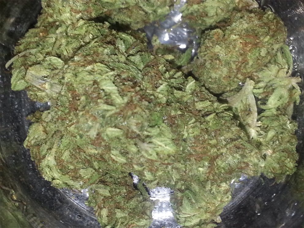 Photos of OG Trainwreck Weed Strain Buds | Leafly