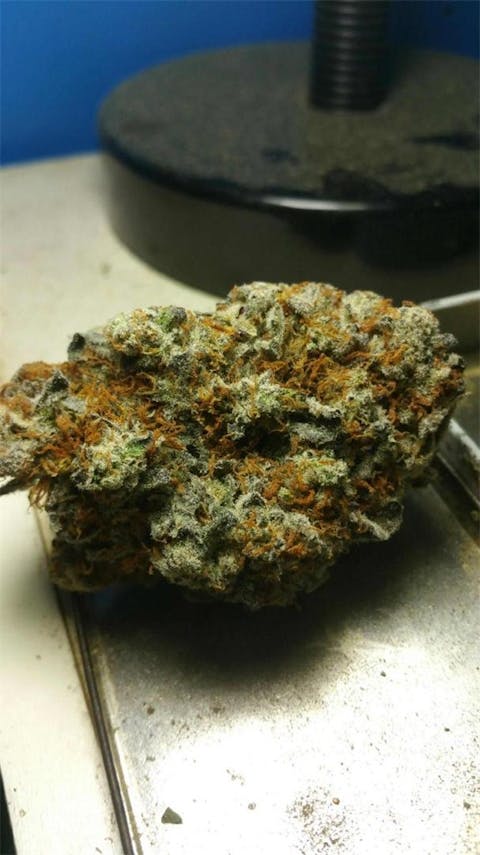 Omega Weed Strain Information | Leafly