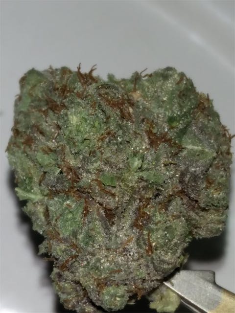 Omega Weed Strain Information | Leafly