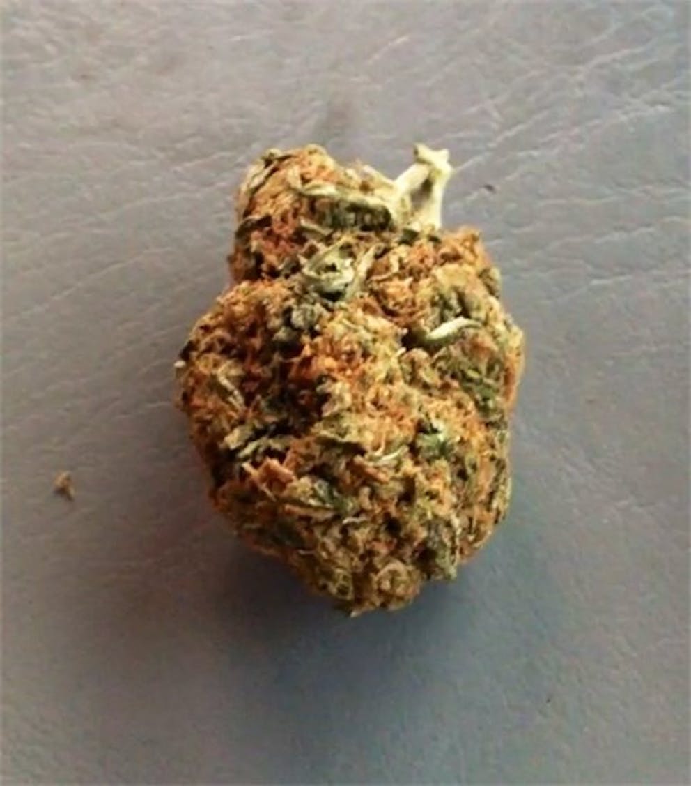 Photos of Orange Diesel Weed Strain Buds | Leafly