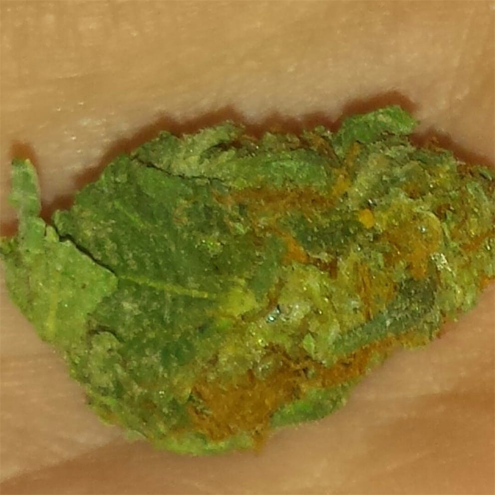 Photos of Orange Diesel Weed Strain Buds | Leafly