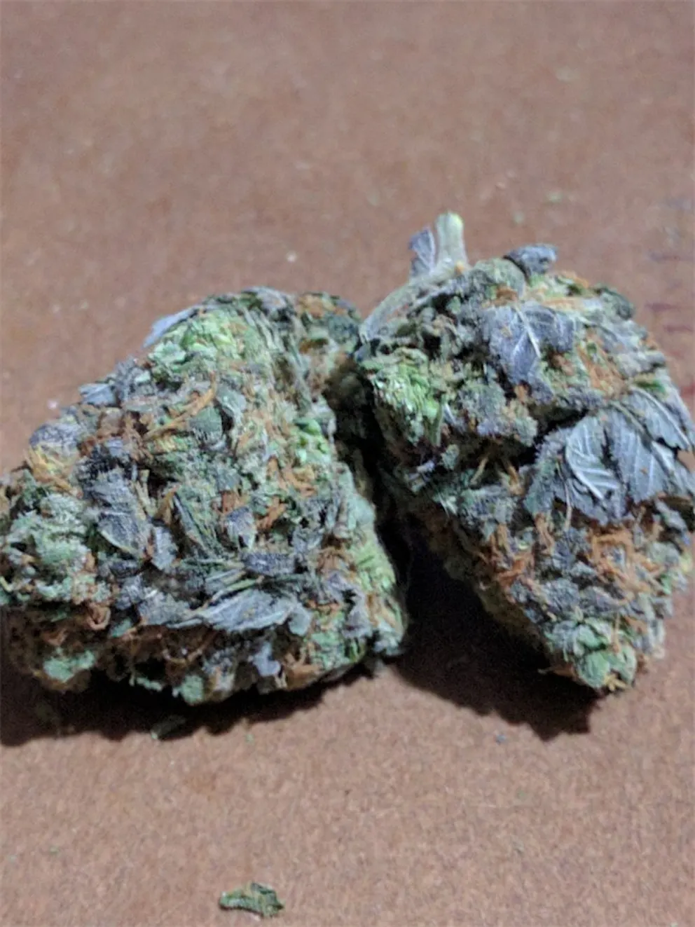 Photos of Orange Kush Weed Strain Buds | Leafly
