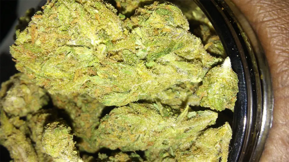 Photos of Orange Kush Weed Strain Buds | Leafly