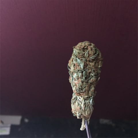 Orange Kush aka Orange OG Weed Strain Information | Leafly