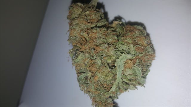 Photos of Orient Express Weed Strain Buds | Leafly